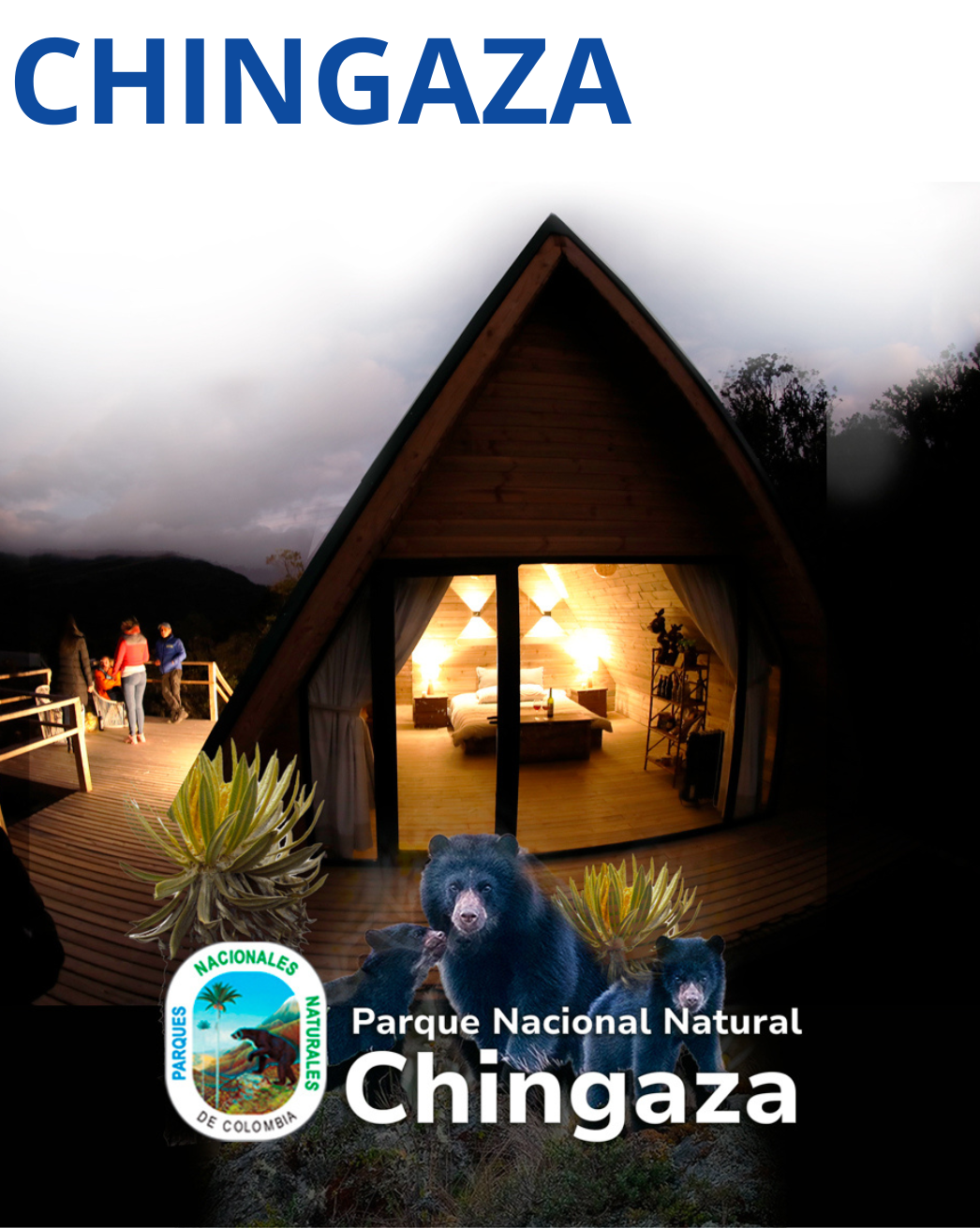 Inicio - MarketPlace CALMA